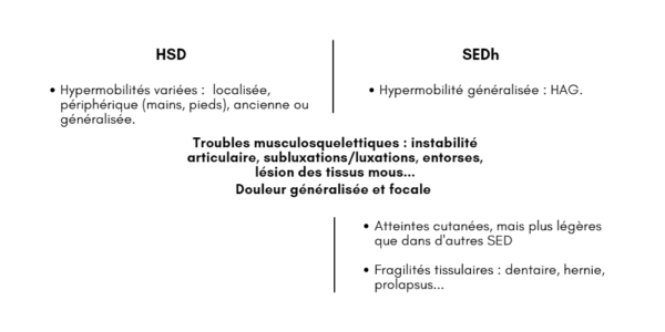 HSD et SEDh : quelles sont les différences ? - SED in FRANCE